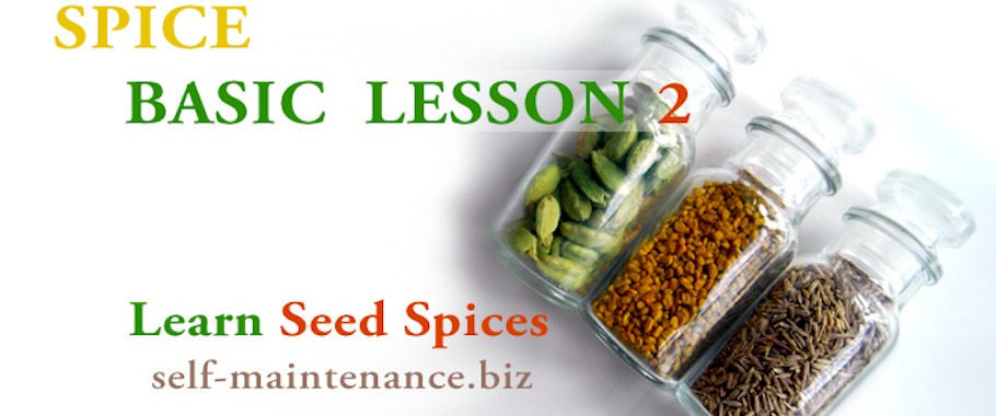 【SPICE BASIC LESSON 2】 | Peatix